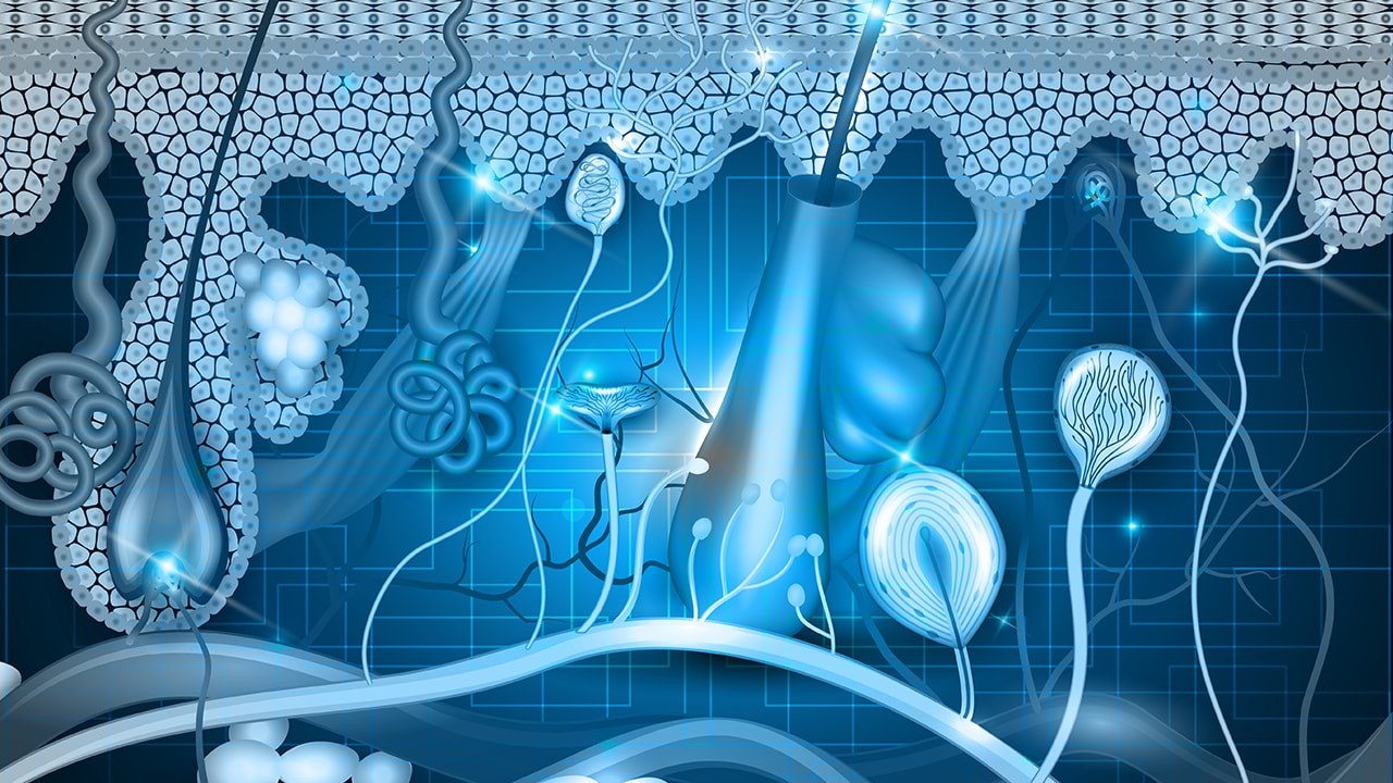 Dermatology - Biocare Oncology & Therapeutics