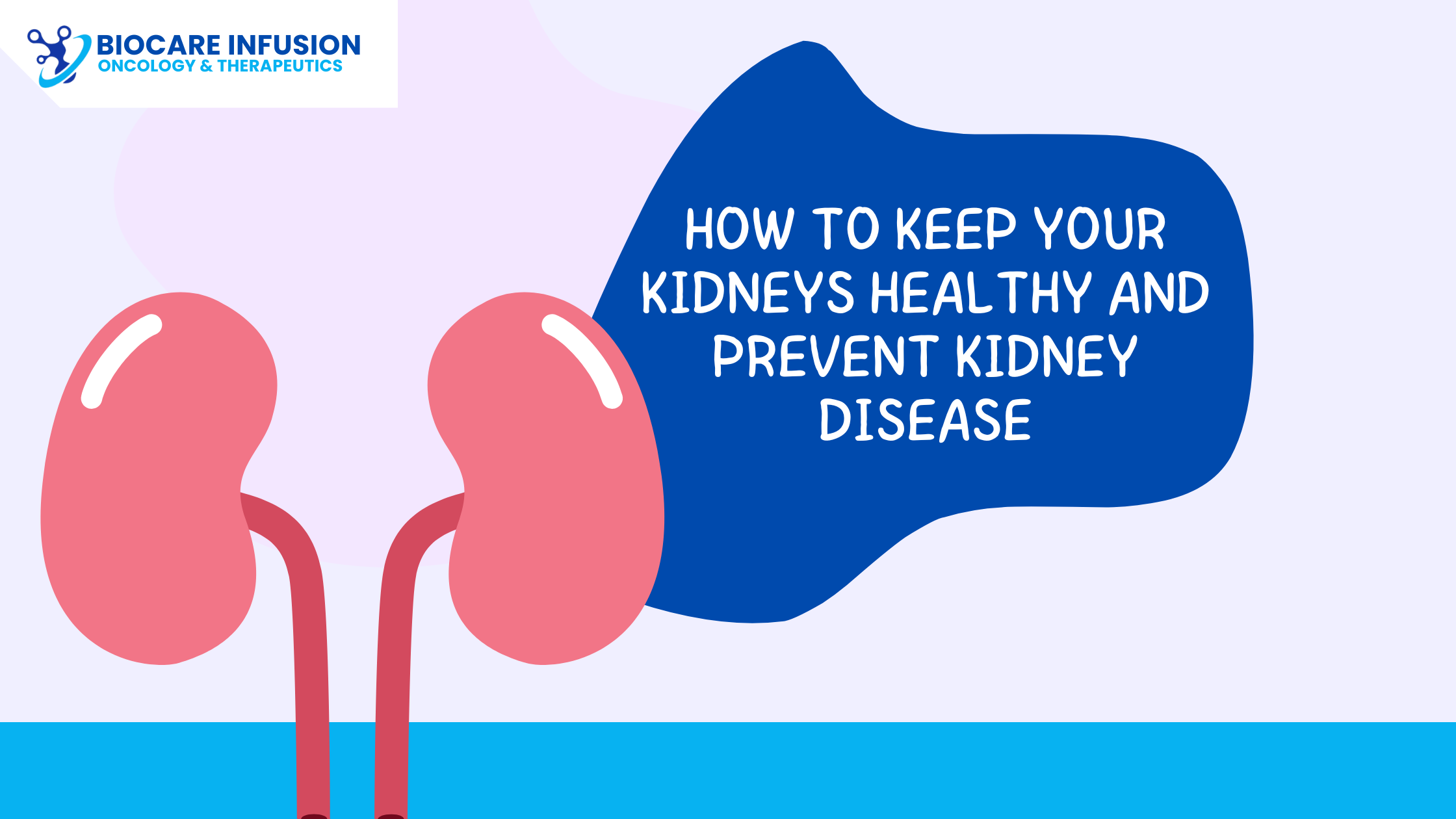 How to Keep Your Kidneys Healthy and Prevent Kidney Disease - Biocare ...